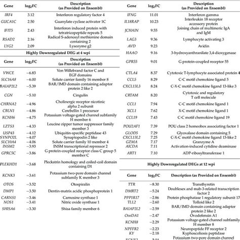 Top 20 Highly Up And Downregulated Known Degs In The Brains Of Abbv 1