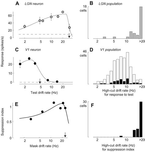 Figure 1 From Suppression Without Inhibition In Visual Cortex