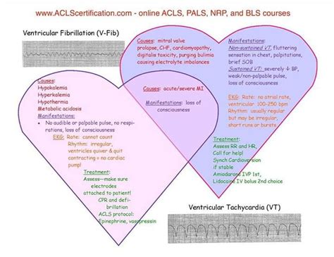 Pin By Lysa Smithee On Nursing Pinterest