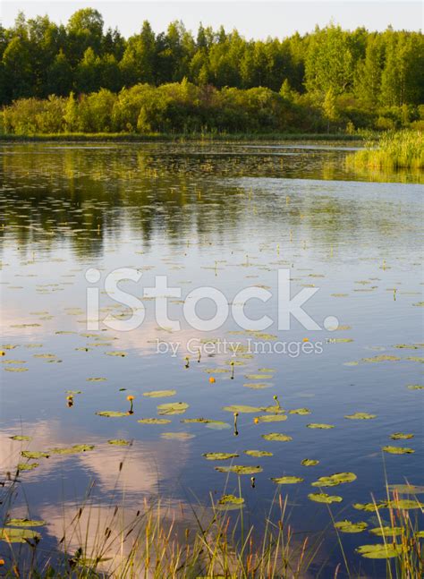 몰 데 노르웨이 스톡 사진 Freeimages