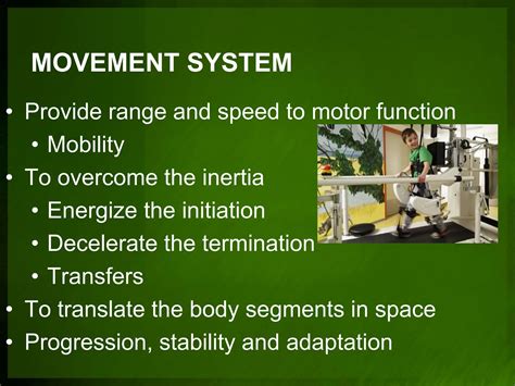 Postural Control And Movement Systemspptx