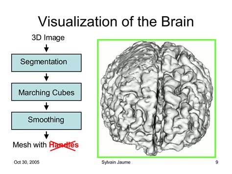 Open Topology A Toolkit For Brain Isosurface Correction 776 Ppt