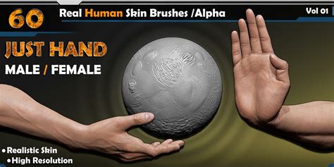 Real Human Skin Brushes Alpha Vol 01 Blender Market
