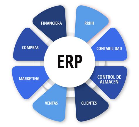 Software Erp Análisis De Plataformas Selección Y Despliegue