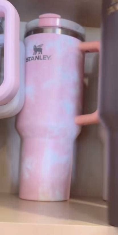 [잡담] 스탠리 텀블러 중에 이런것도 있어 인스티즈 Instiz 일상 카테고리