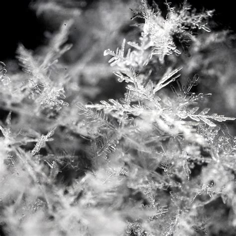 Cluster Algebras Network Science And Machine Learning Lims