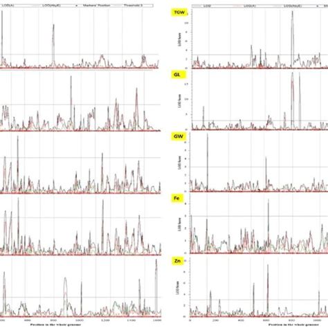 Qtl By Environment Mapping Chromosome Locations Of Qtls Identified In