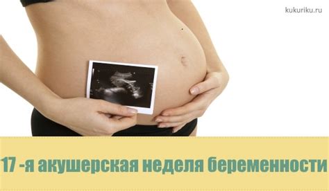 Развитие плода и ощущения мамы на 17 й неделе беременности