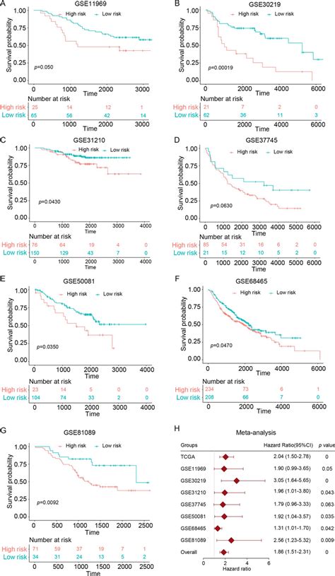 Validation Of The Novel Immune Checkpoint Based Signature In Patients