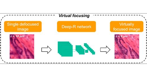 Single Shot Autofocusing Of Microscopy Images Using Deep Learning Acs Photonics
