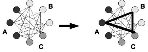 Eliminating Redundant Sequences The Figure Shows How OrthoSelect Download Scientific Diagram