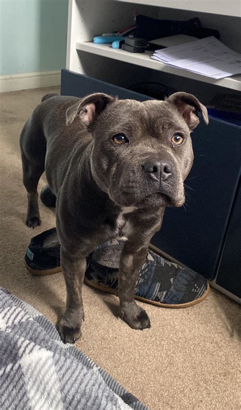 She Wants A Bite Of My Lunch She Makes A Compelling Argument