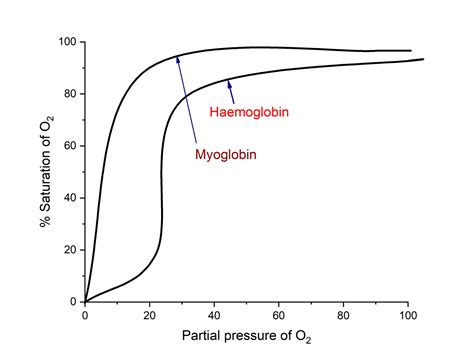Oxygenation Dynamic Binding Of Oxygen With Myoglobin And Haemoglobin