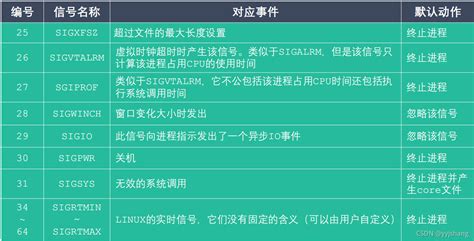 linux c c 学习之多进程开发 c 多进程 csdn博客