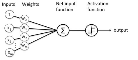What Is Neural Networks Artificial Intelligence Neural Networks