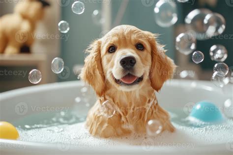 Cheerful Dog Enjoying A Bubble Bath Surrounded By Soap Bubbles