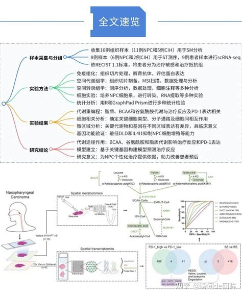 【中科院1区12 4】空间代谢 空间转录组｜高pd 1表达和治疗反应鼻咽癌中的代谢重编程和细胞相互作用 知乎