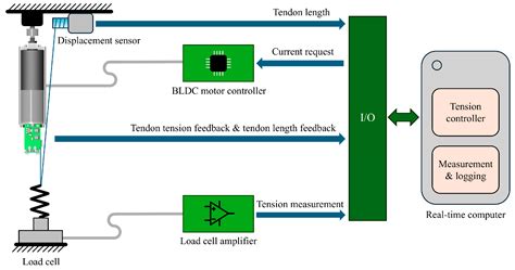 The Design And Control Of A Proprioceptive Modular Actuator For Tendon