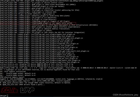 基于dpdk的vpp 插件demo代码 but no mounted hugetlbfs found for that size csdn