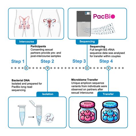 Bacterial Transfer During Sexual Intercourse As A Tool For Forensic Detection Iscience