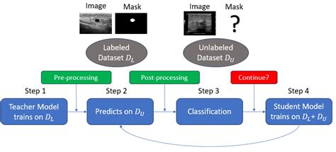 ultrasound nodule segmentation using asymmetric learning with simple