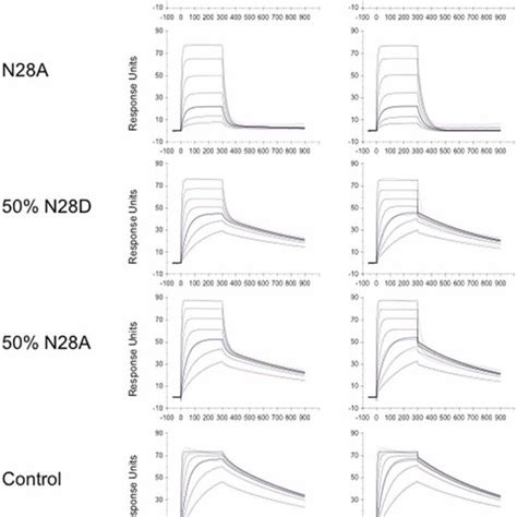 Control And Stressed Antibodies Binding To Soluble Antigen In An Download Scientific Diagram