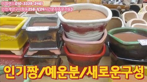 특집예운분휴식분쑥쑥이드려요 다남다육010 3339 2461 Youtube