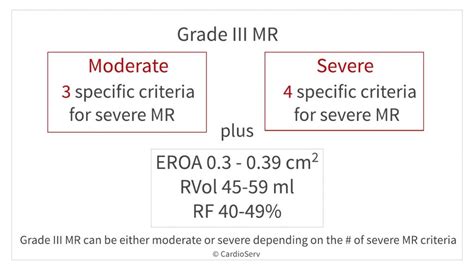 grading mr severity with echo echo mr grading severity