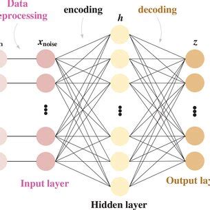 DAE neural network structure. DAE, denoising autoencoder. | Download ...
