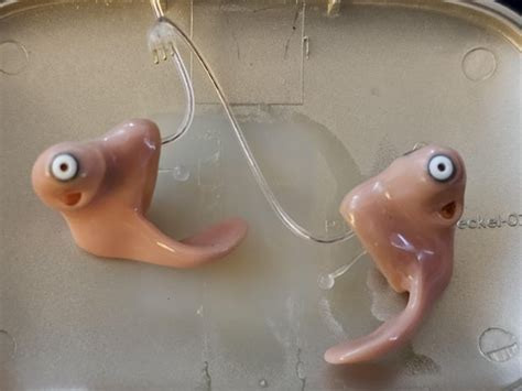 Phonak Ear Molds R Hearingaids