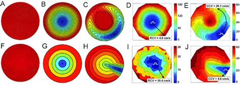 Contrasting Modeling Predictions And Experimental Analysis Based On Download Scientific