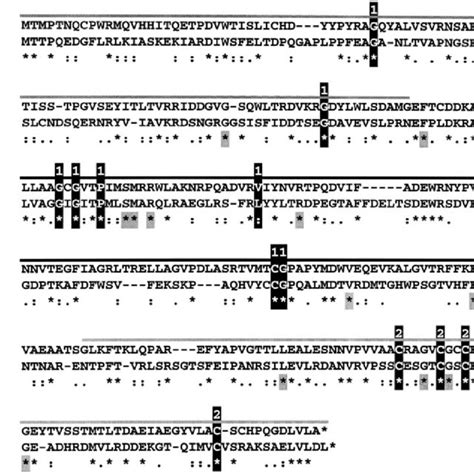 Alignment Of The Primary Structures Of The Putative E Coli Hcr With Download Scientific