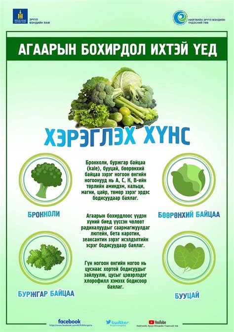 Агаарын бохирдол ихтэй үед хэрэглэх хүнс