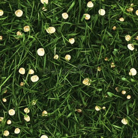 Top View Photo Of Grass With Tiny Mushrooms Growing Seamless Texture