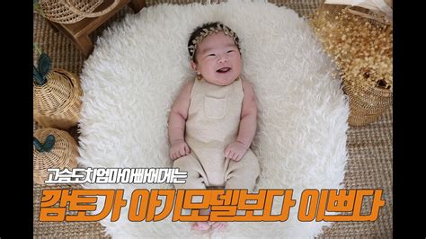 고슴도치 엄마아빠에게는 깜토가 아기모델보다 이쁘다 Youtube