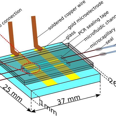 Schematic Of The Three Reactions Which Constitutes The Chemical Download Scientific Diagram