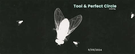 Tool And Apc Evening Tool And Apc Evening