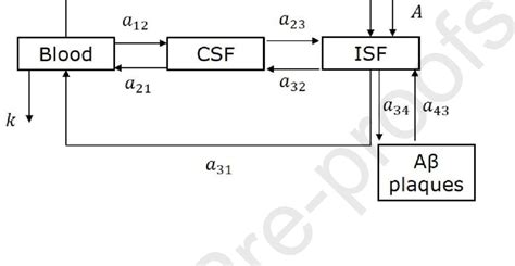 Schematic Representation Of The Four Compartmental Models Describing