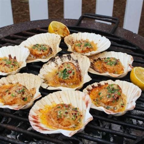 Grilled Scallops In The Shell Over The Fire Cooking