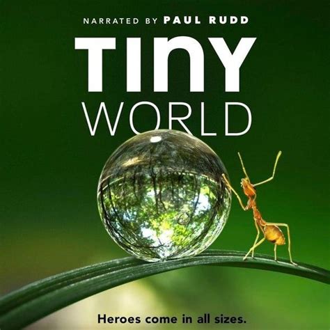 Tiny World 2020 Fames