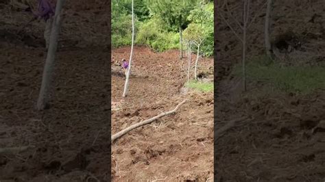 TERASERING DI LAHAN MIRING - YouTube