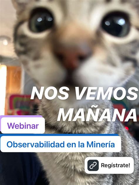 Maria Fernanda Galvan Rubi Posted On Linkedin