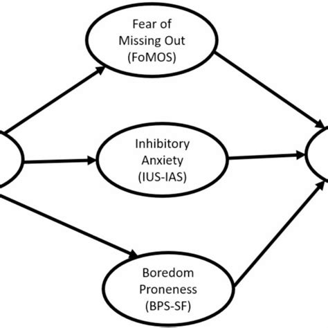 Structural Model Of Obsessive Compulsive Disorder Severity Predicting Download Scientific