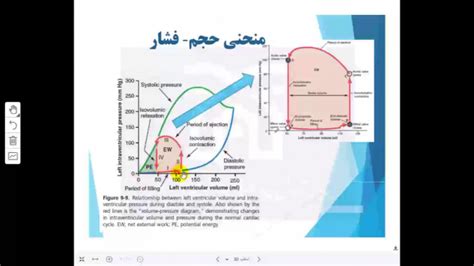فیزیولوژیجلسه چهاردهم فیزیولوژی قلب و عروق؛ نمودار حجم فشار بطن ها