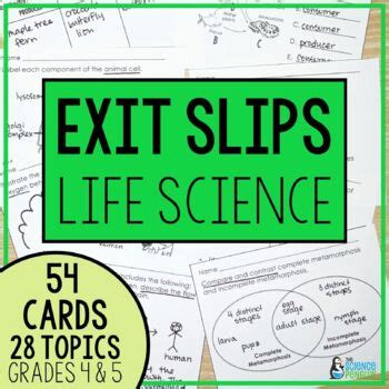 Life Science Exit Tickets Food Webs Ecosystems Adaptations Exit Slips