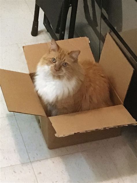 Adventures And Fireflies Maggie Turner Page By Page