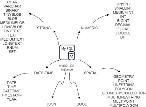 Mysql Data Types Explained Mysql Life Lyrics Anatomy And Physiology