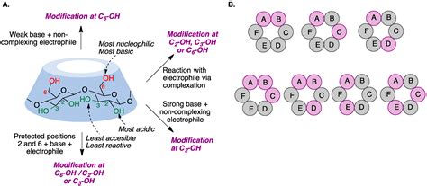Cyclodextrin Inclusion Complexes For Improved Drug Bioavailability And Activity Synthetic And