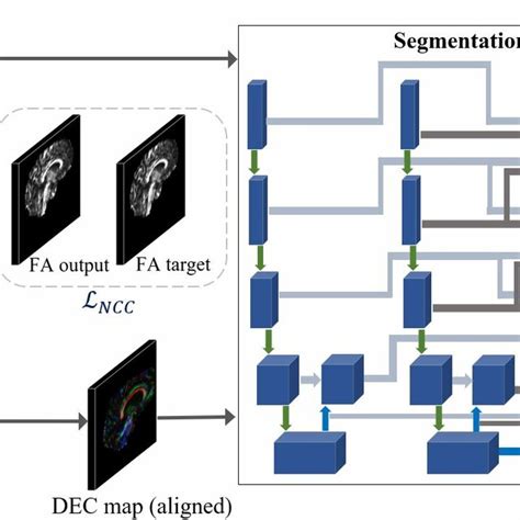 The Proposed Jtrs Framework For Joint Registration And Segmentation Of Download Scientific