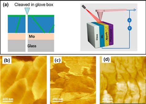 A Schematic Diagram Of The Cross Section C Afm Measurement The